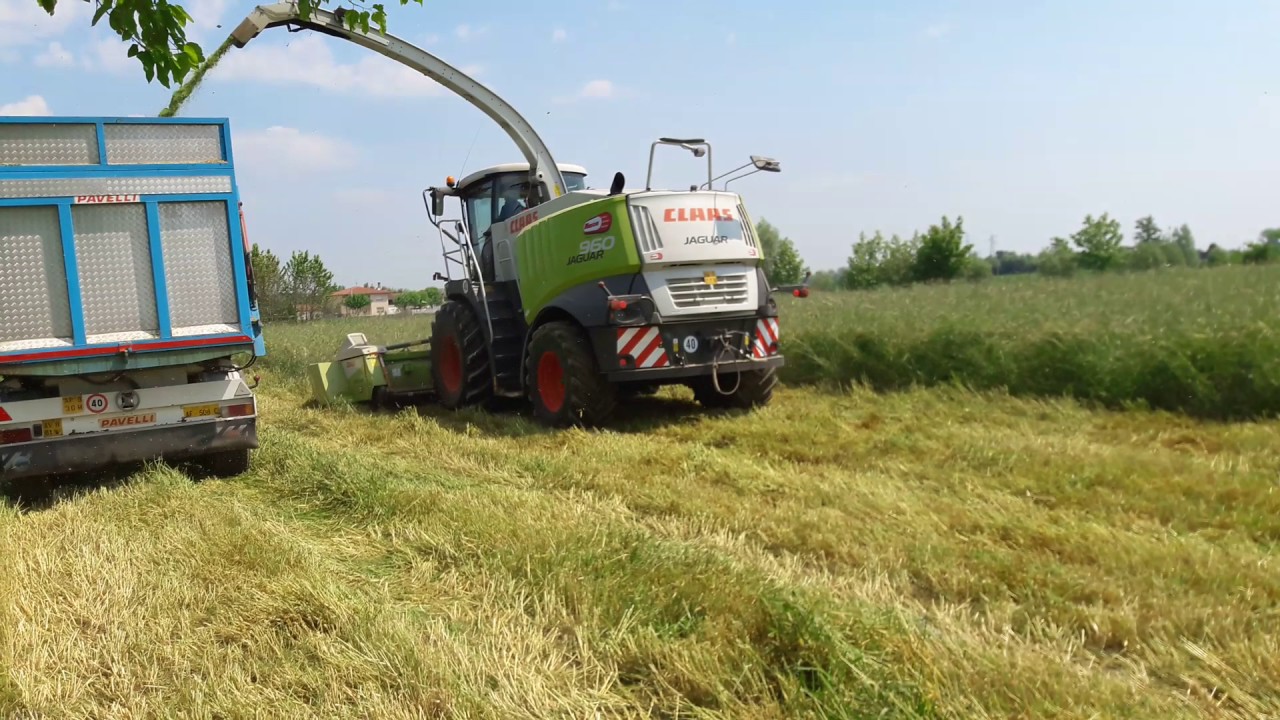 Claas jaguar 960 con direct disc 610 - YouTube