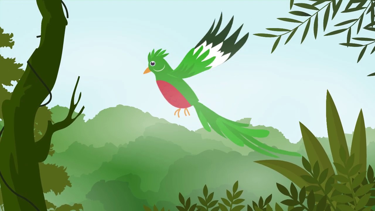 Canciones infantiles para Niños Guatemala, El Quetzal - YouTube