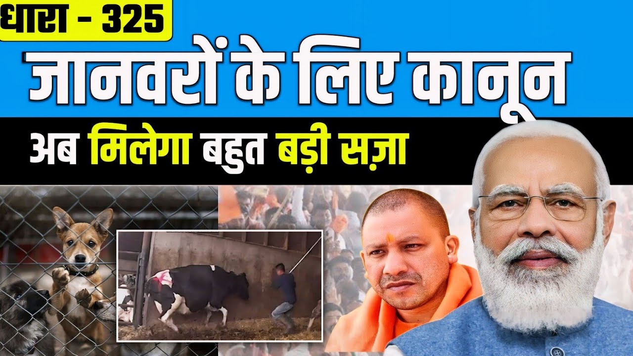 नया कानून जानवरों को मारना परेशान करने में कानूनी सजा | Bhartiya Nyaya ...