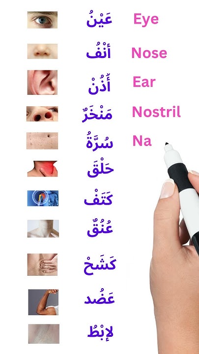 Unlock Arabic Secrets: Beginner Vocabulary Guide #arabic #english # ...