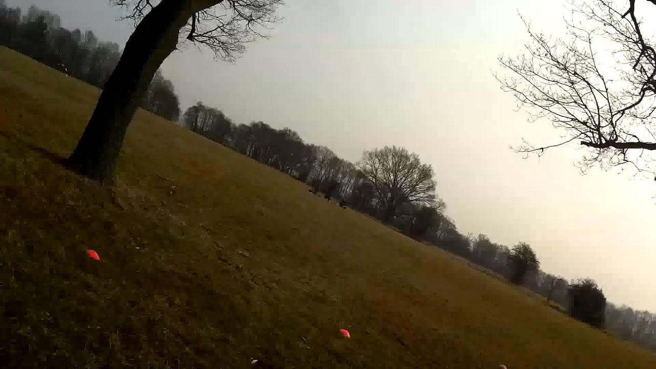 Mallory Trees - YouTube