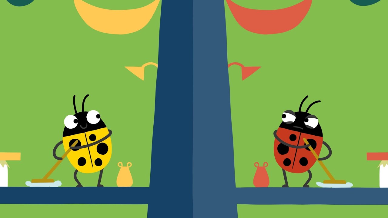 Animanimals: Ladybird - YouTube