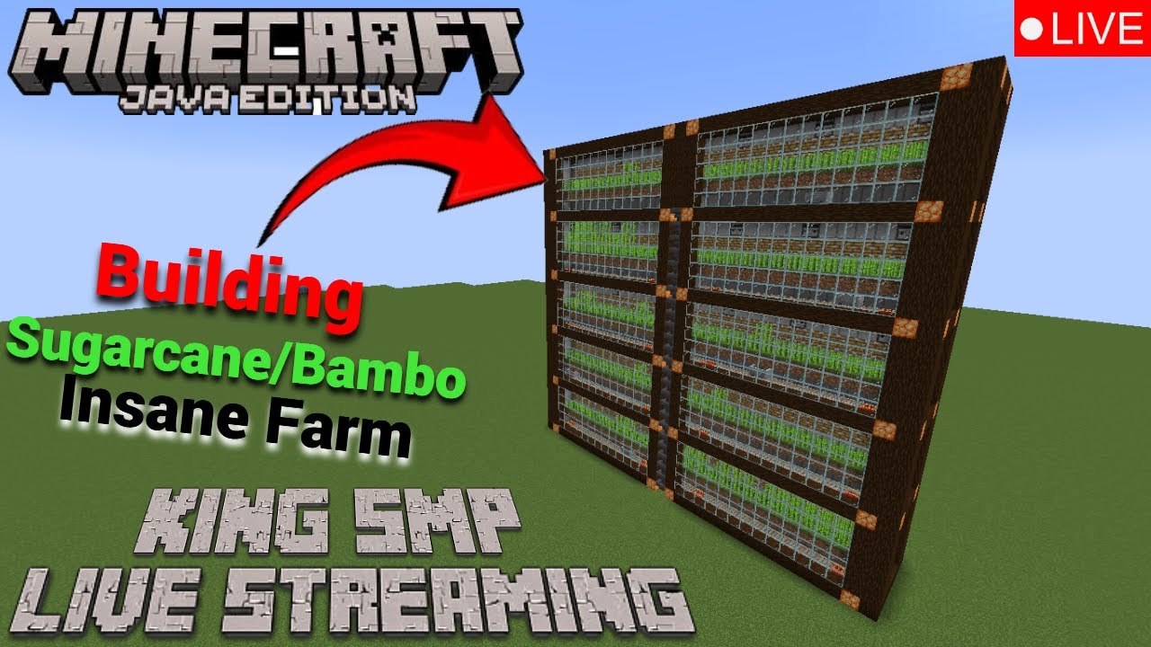 🔴Compeleting Sugar/Bambo Farm | MINECRAFT JAVA | KING SMP Day #52 - YouTube