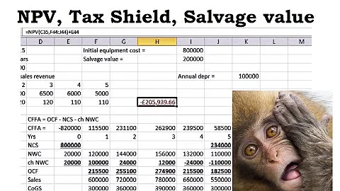 Do you add salvage value to NPV? (2025)