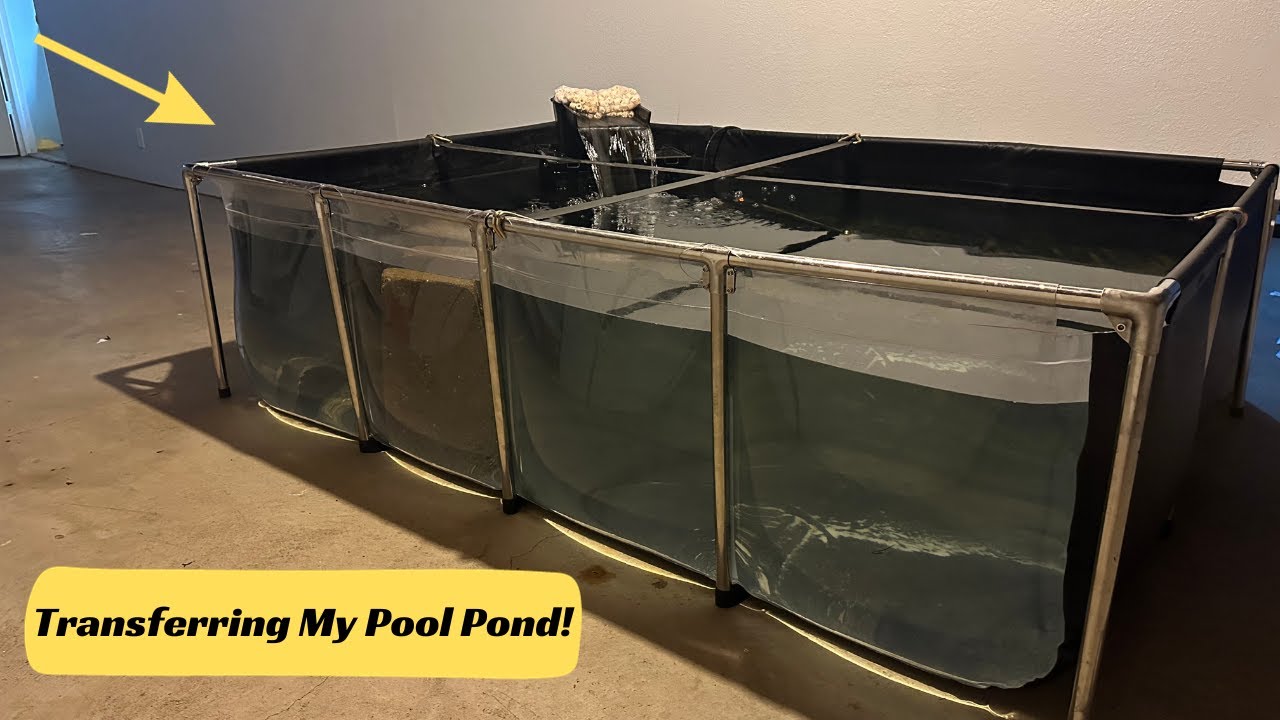 Transferring 500 Gallon See-through Pool Pond! - YouTube
