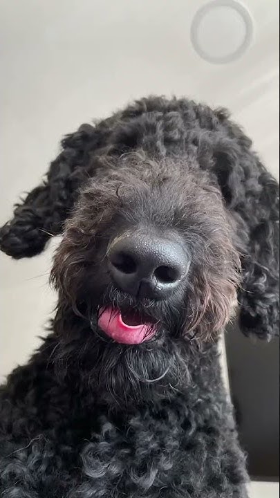 You Know You Bad When You Can Pose From Any Angle 📸 - YouTube