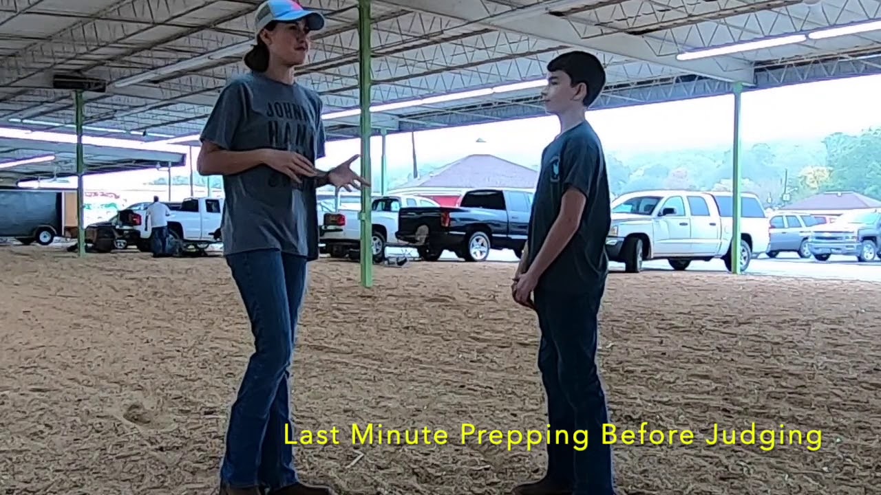 Lanedango: Heart of Dixie Poultry Show in Ft. Payne, AL "My Hometown ...