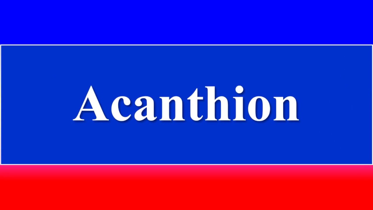 Acanthion - YouTube
