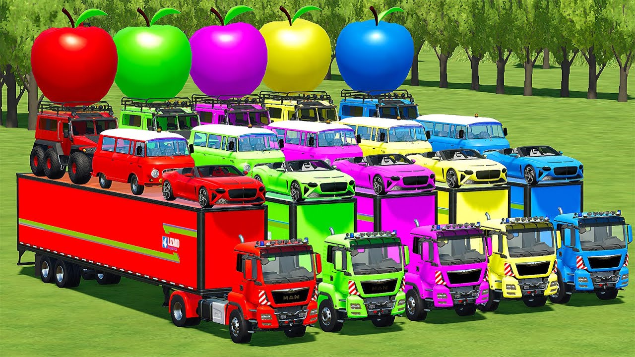 TRANSPORTING BENTLEY, MINI BUSES & APPLES WITH MAN TRUCKS! Farming ...