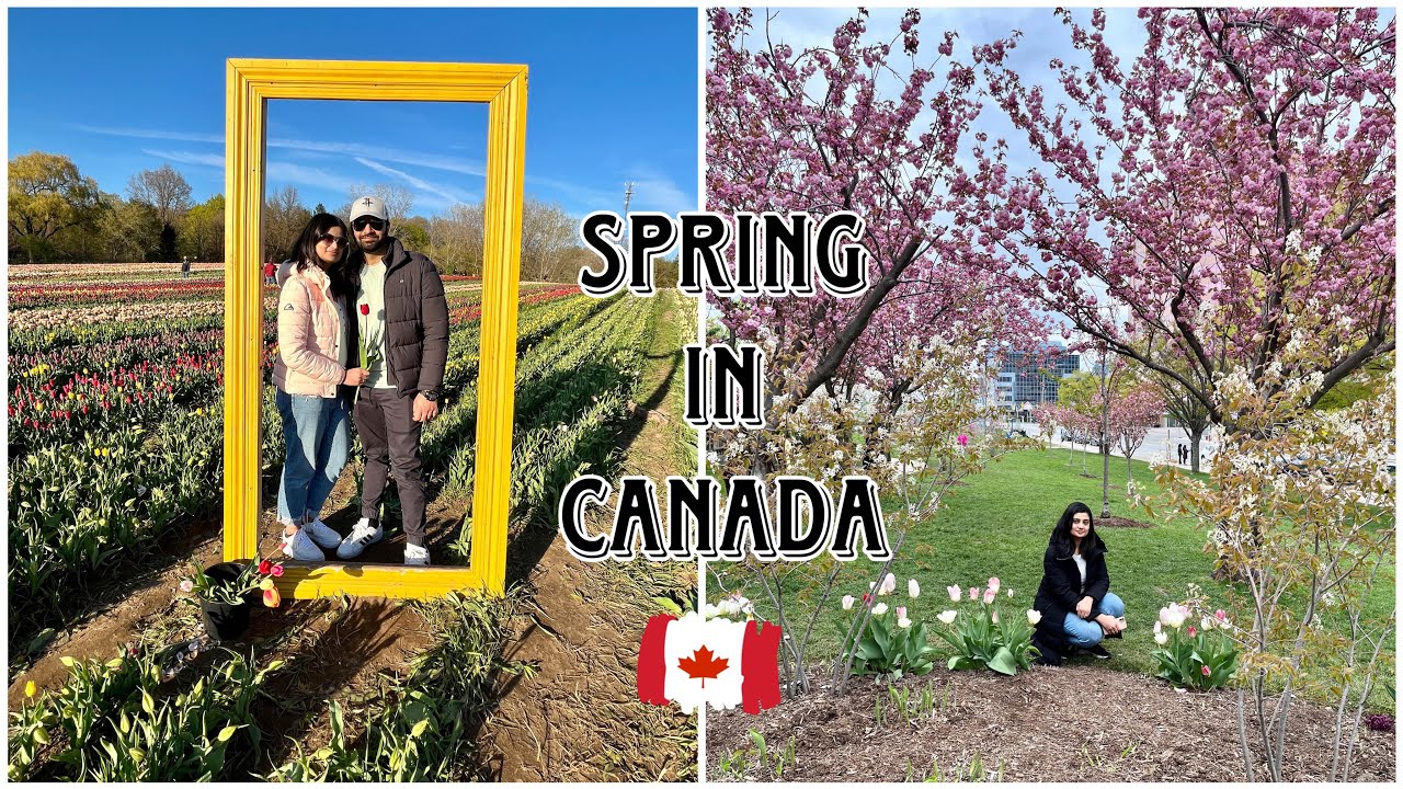 Colors of spring in Canada | Cherry Blossom | Tulip Farm | Niagara ...