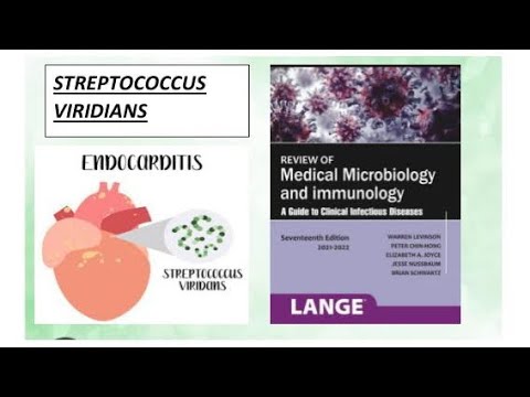 Microbiology - streptococcus viridian #microbiology #endocarditis - YouTube