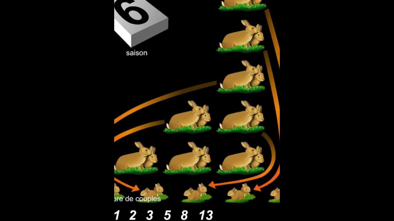 Suite de Fibonacci - YouTube