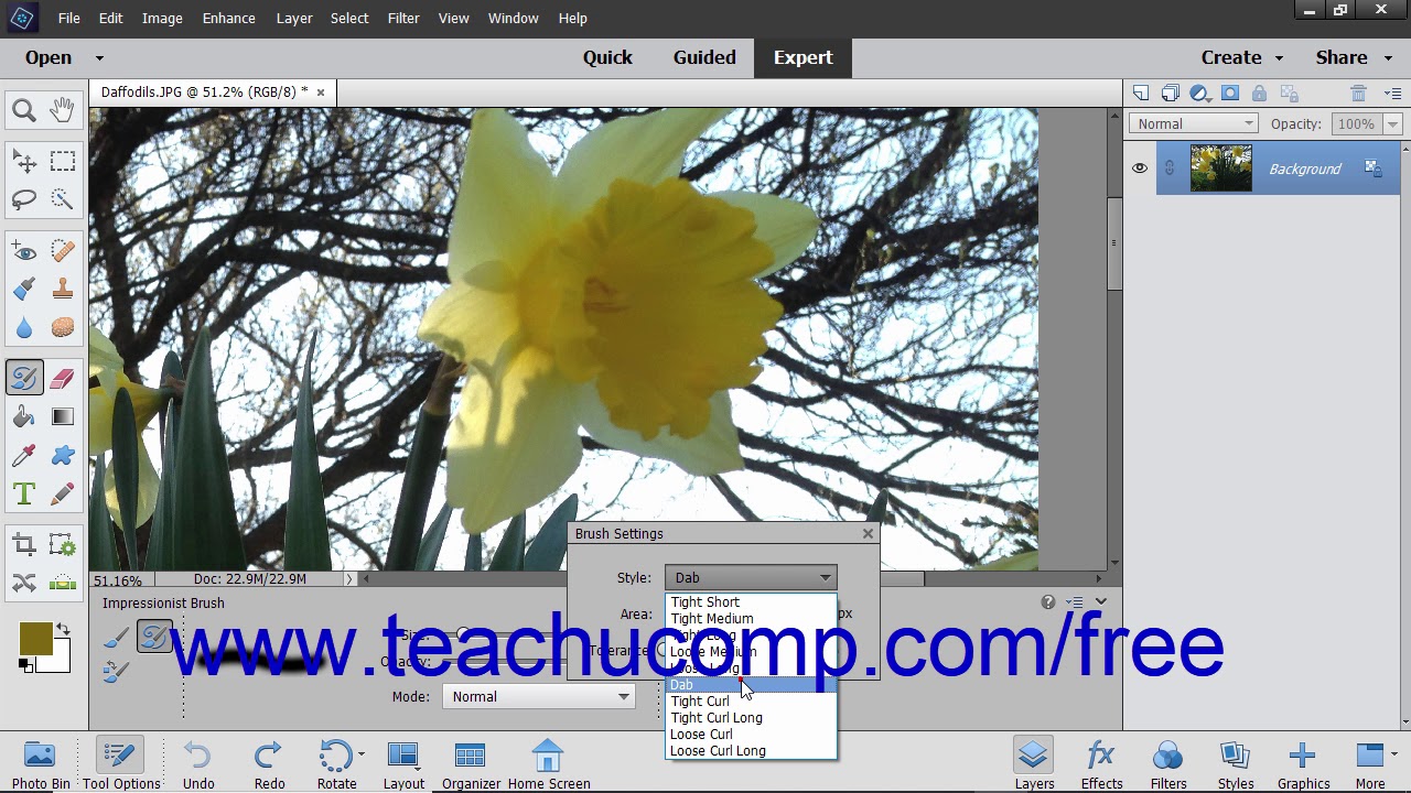Photoshop Elements 2019 Tutorial The Impressionist Brush Adobe Training ...