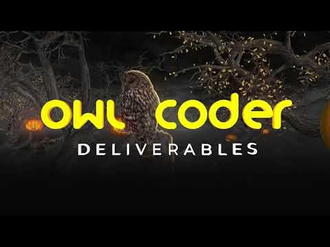 Technical Hub | Owl Coder | Deliverables - YouTube
