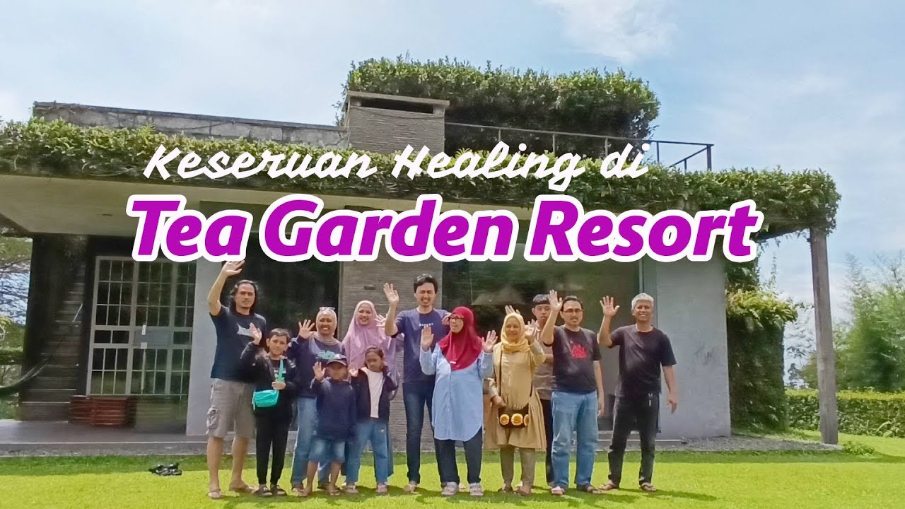 Cottage Unik di Tengah Kebun Teh‼️Ada Kolam Renang, Bikin Fresh | Tea ...