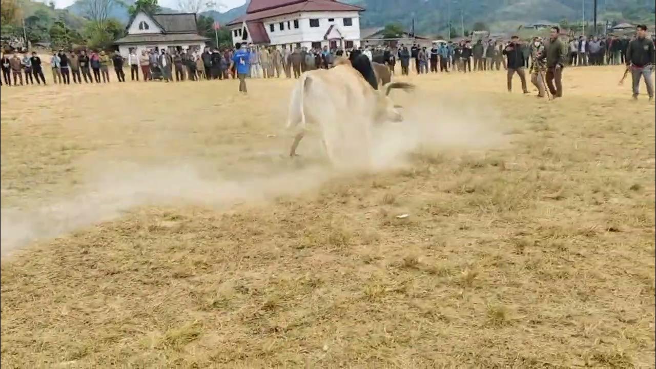 nyuj sib nraus nyob zos moos cab xiab 2 - YouTube