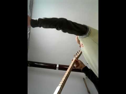Org saz gesi bağları