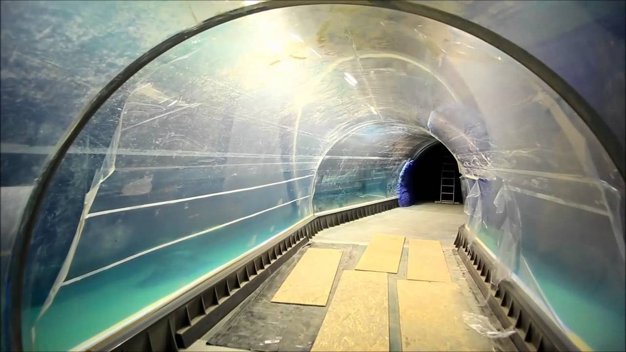 Afrykarium-Oceanarium ZOO WROCŁAW - pierwsze ryby i koralowce - YouTube