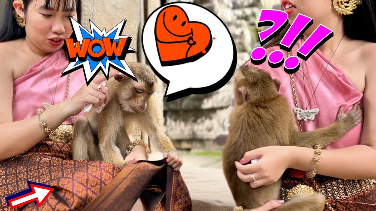 #Really Amazing, Awesome!! Lovely Monkey Denied to get away from a Girl ...