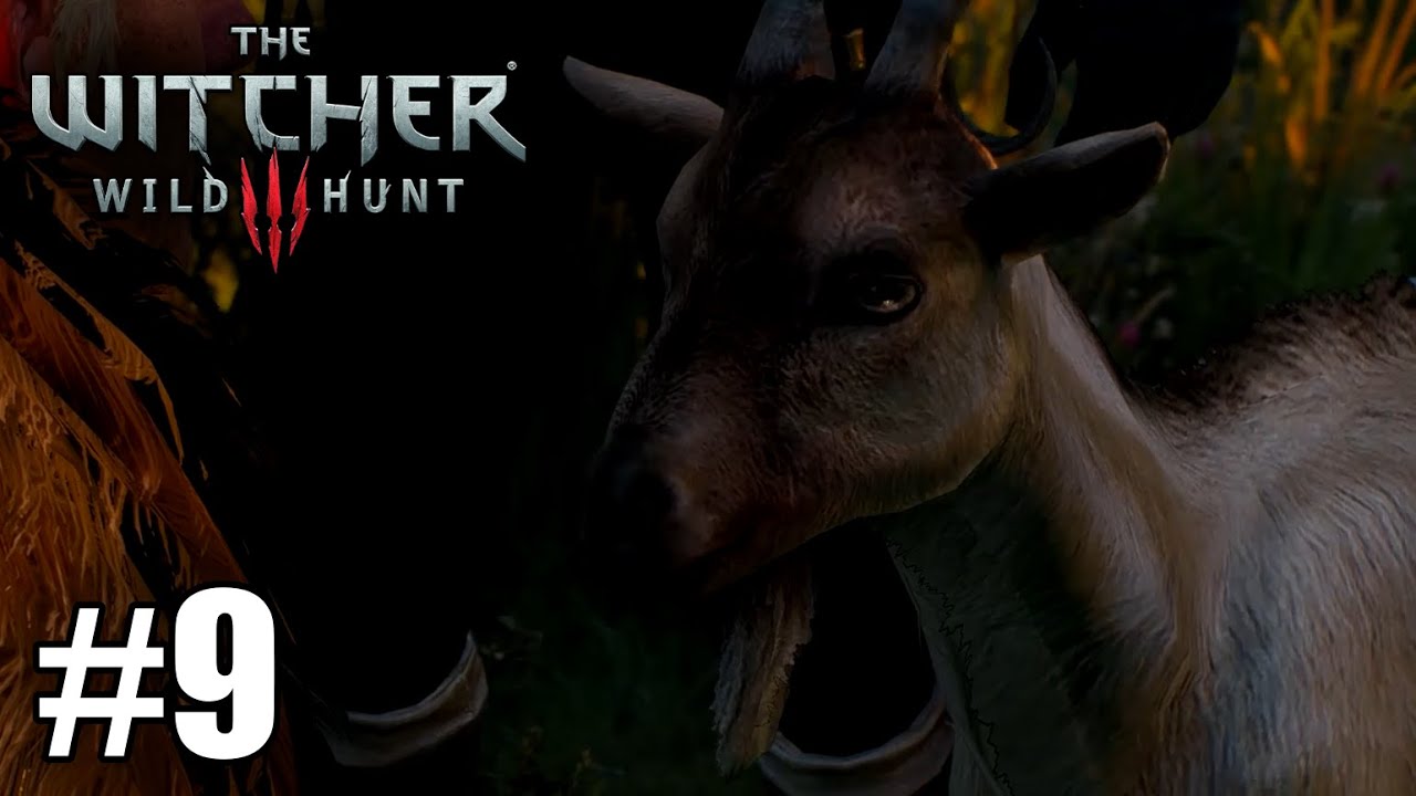 Saving the Princess | The Witcher 3: Wild Hunt | Gameplay Part 9 - YouTube