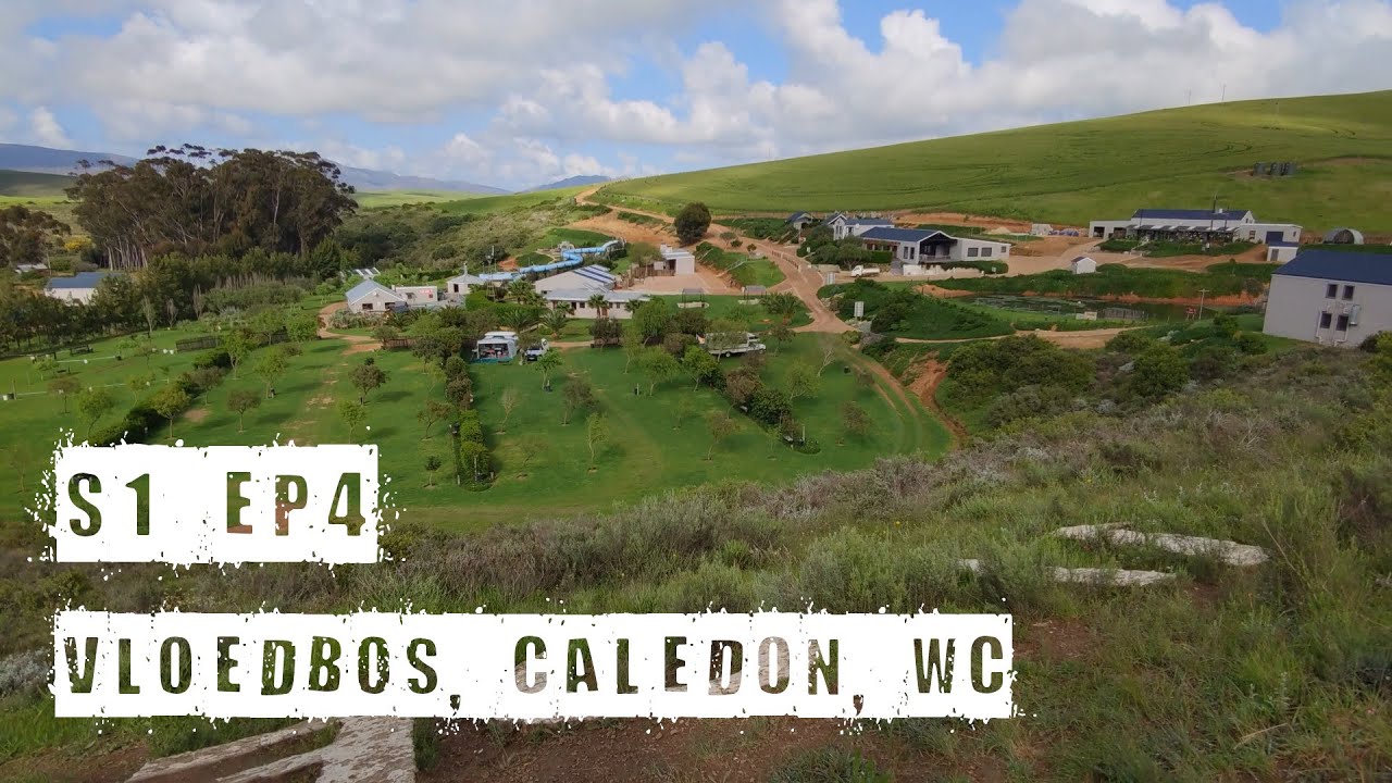 S1 Ep4 - Vloedbos, Caledon, WC - YouTube