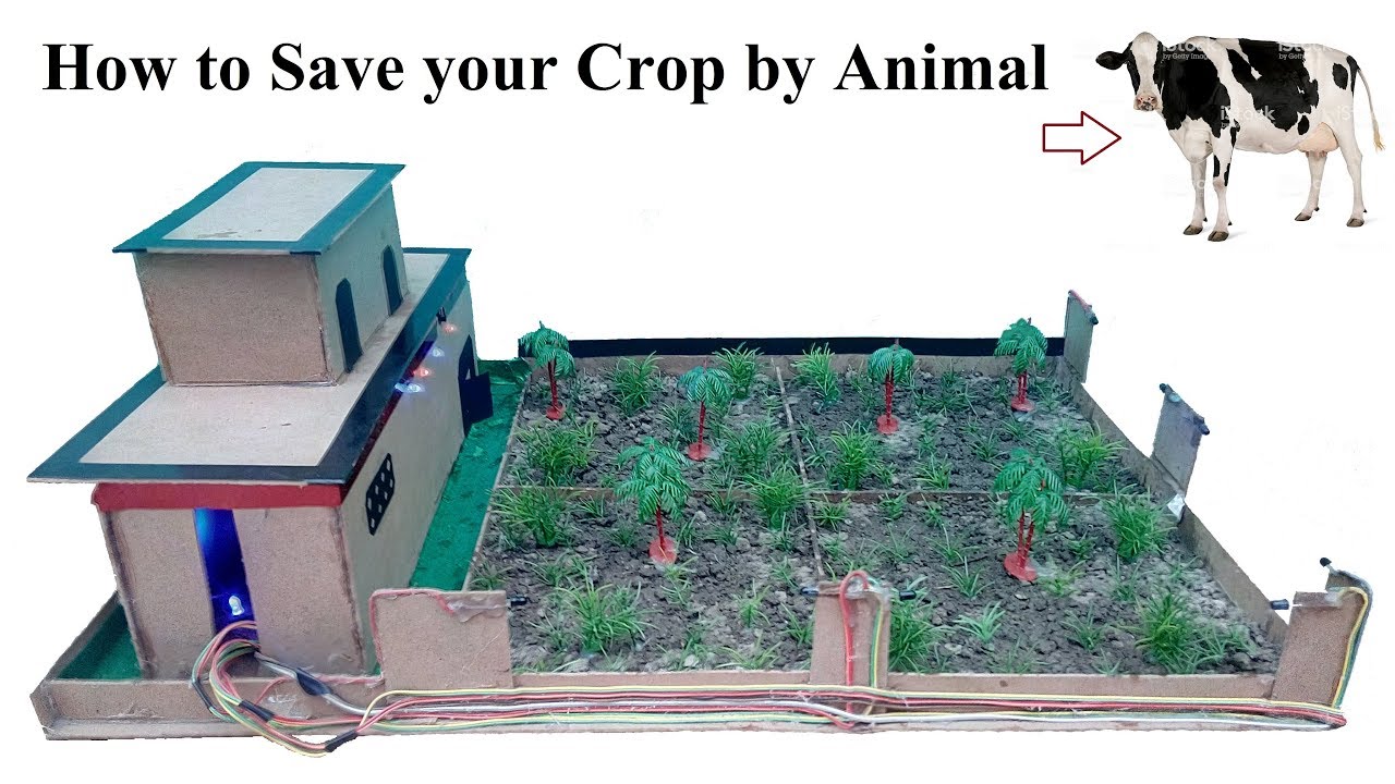 IR Base Field Security Project | Prize Winning Science Project | RS ...
