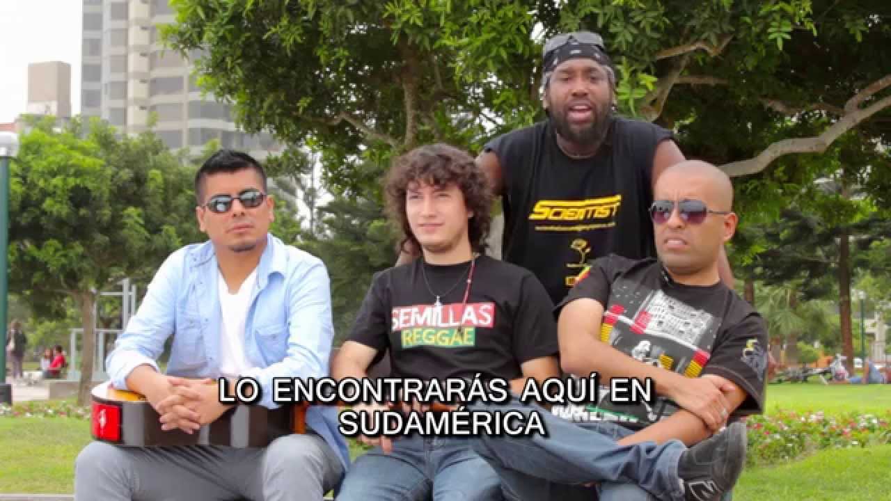 DULCE SENSACIÓN - Semillas feat Amlak Tafari (Steel Pulse) - full HD ...