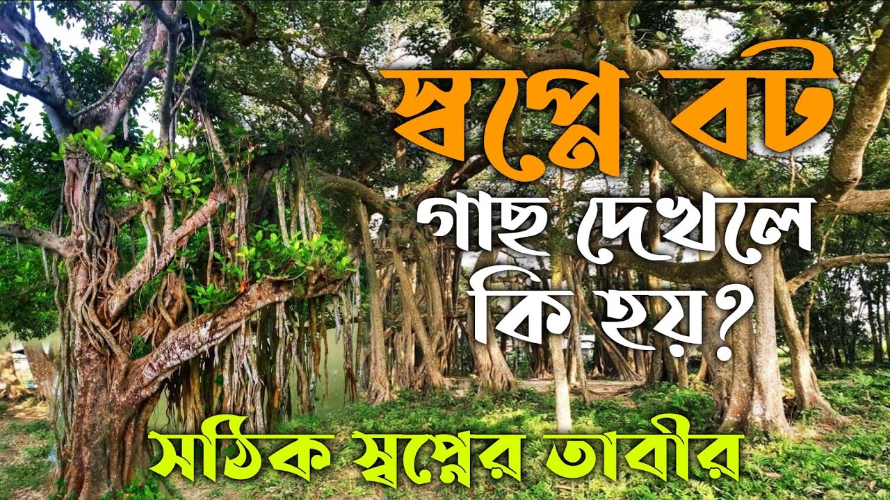 স্বপ্নে বট গাছ দেখলে কি হয় | shopne bot gash dekhle ki hoy | dream ...