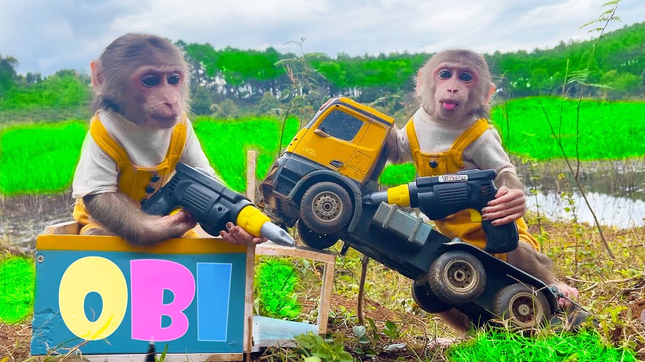 Monkey Obi drove the truck to the garden and then... - YouTube
