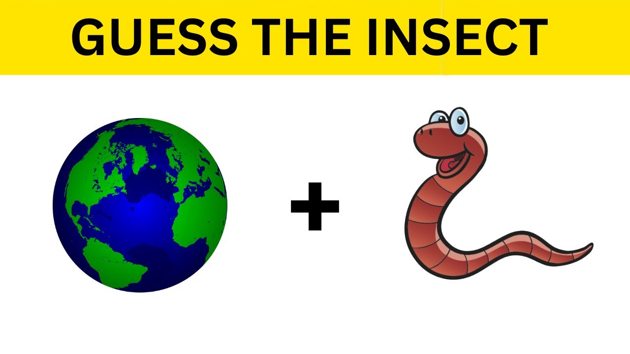 🐜 Can You Guess the INSECT From The Emojis? INSECT QUIZ - YouTube