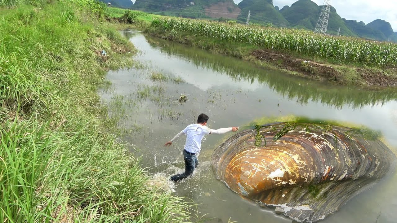 The girl discovered a unique clam and obtained a rare and spectacular ...