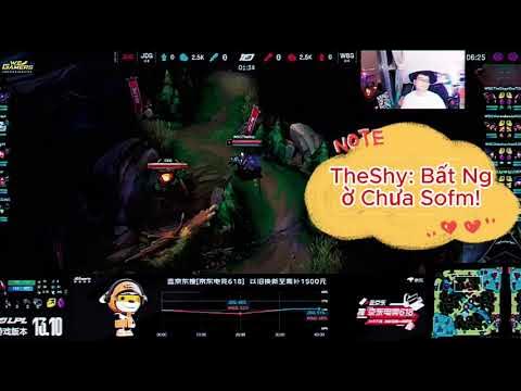 SOFM bất ngờ XỈU NGANG trên stream khi bị TheShy counter: Đang thao thao bắt tuyệt thì ch** tiệt ...