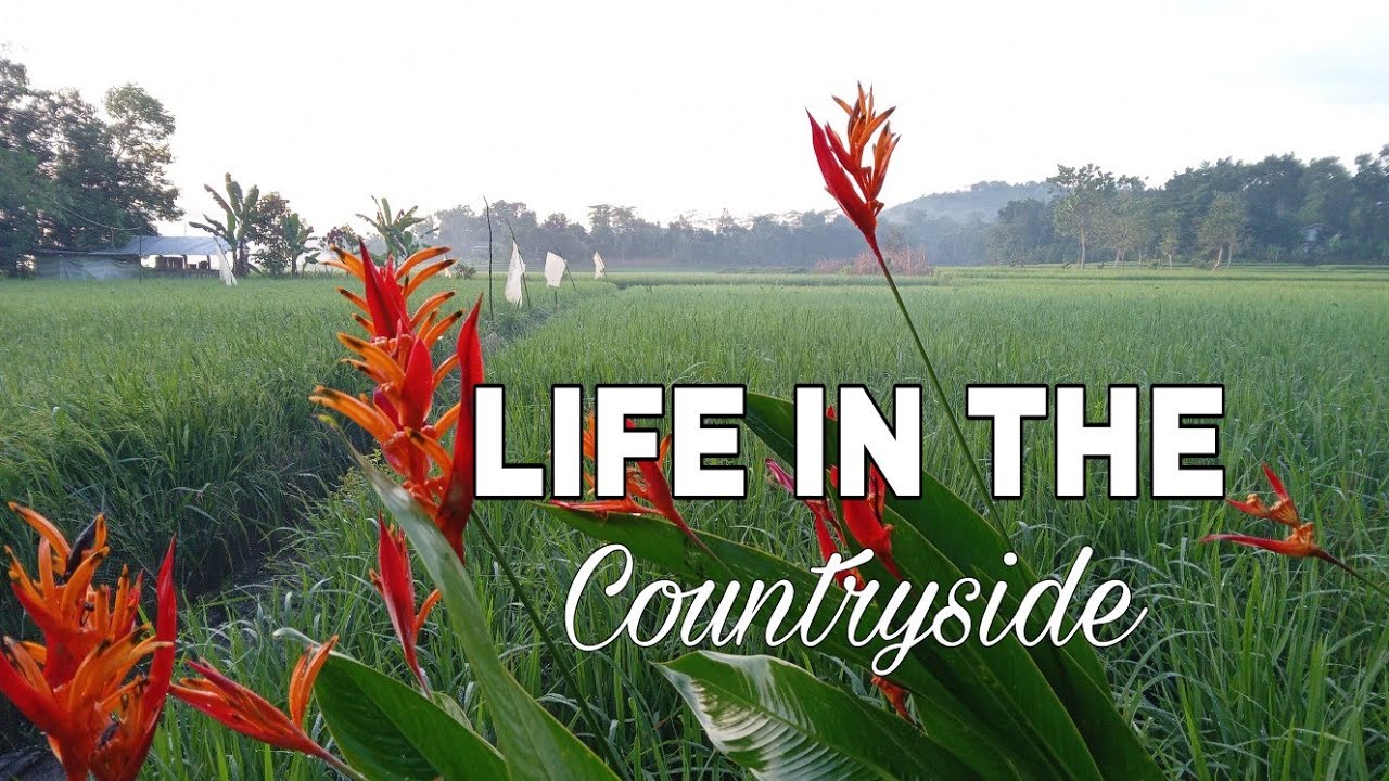 Countryside Life: SIMPLE AND ENJOY - YouTube