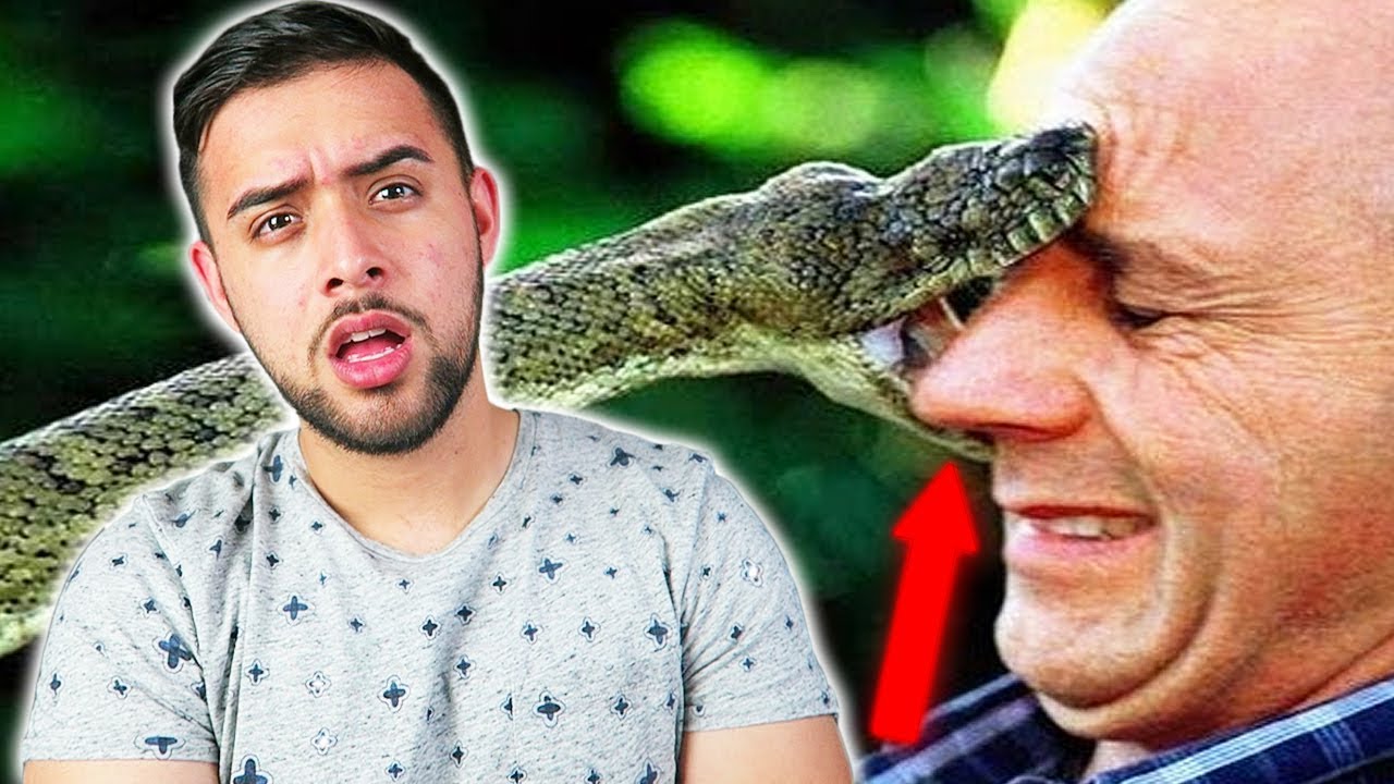 DEADLY Snake Bite To The HEAD! - YouTube