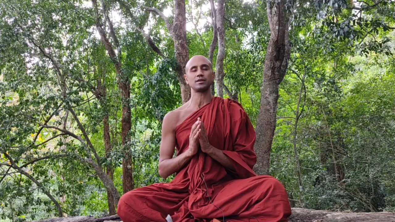 Dhamma Discussion -- How I Became a Monk | 2020-10-17 | Bhante Joe ...