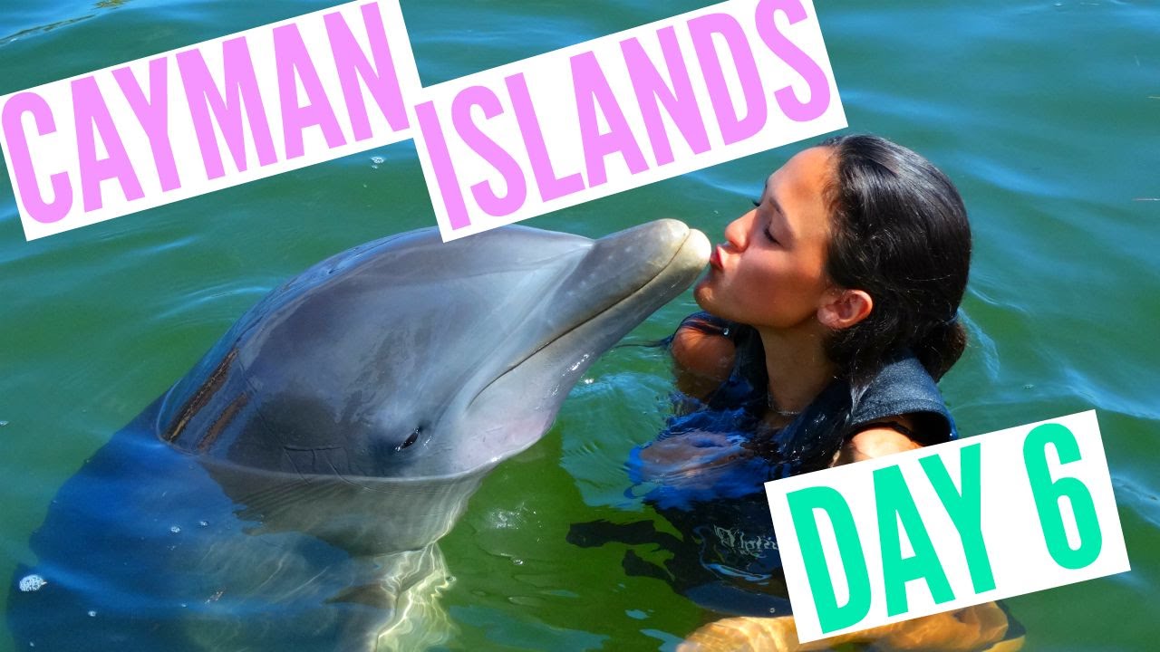 Cayman Islands Day 6 !! || SWIMMING WITH DOLPHINS - YouTube