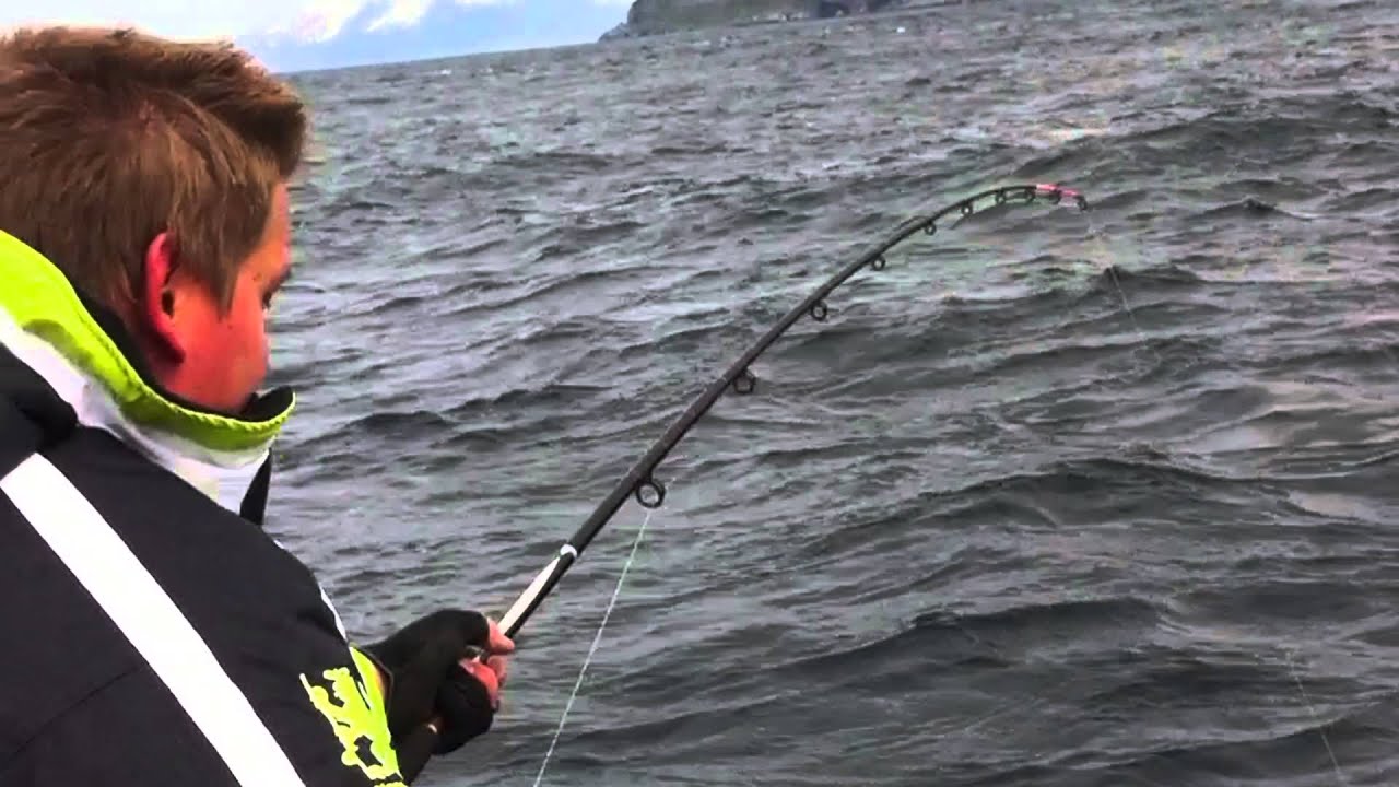 Norge fiske - YouTube