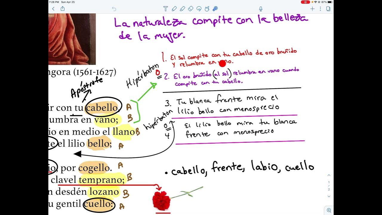 Video 7: Análisis Soneto CLXVI "Mientras por competir con tu cabello ...