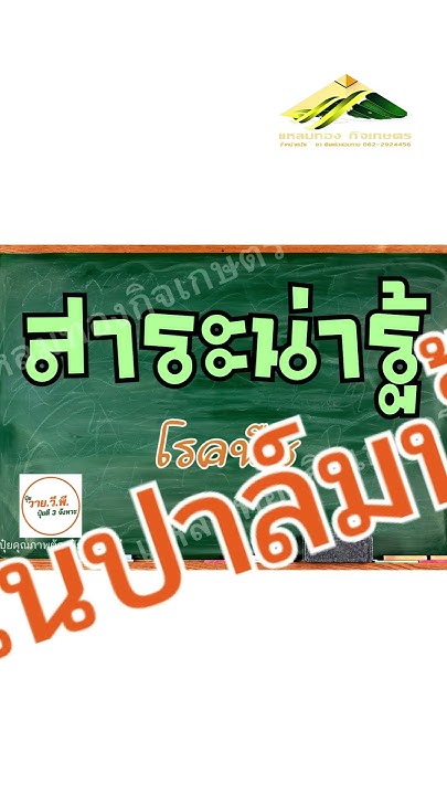 ปุ๋ยสูตร 14-7-35 YVP ปุ๋ยเพิ่มผลผลิต สำหรับปาล์มใหญ่ แหลมทองกิจเกษตร ต.พรุเตียว อ.เขาพนม จ. ...
