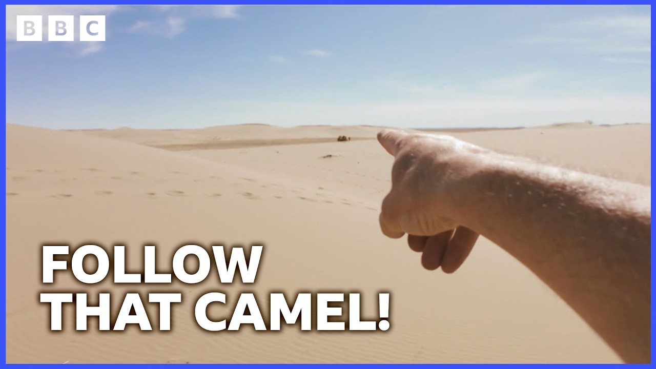 Gordon Loses the Camels | My Epic Camel Adventure with Gordon Buchanan ...