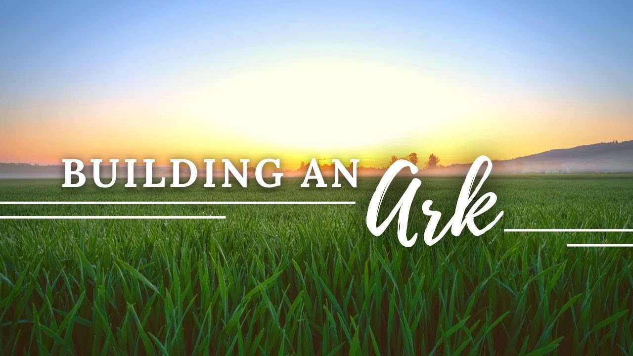 Building An Ark - YouTube