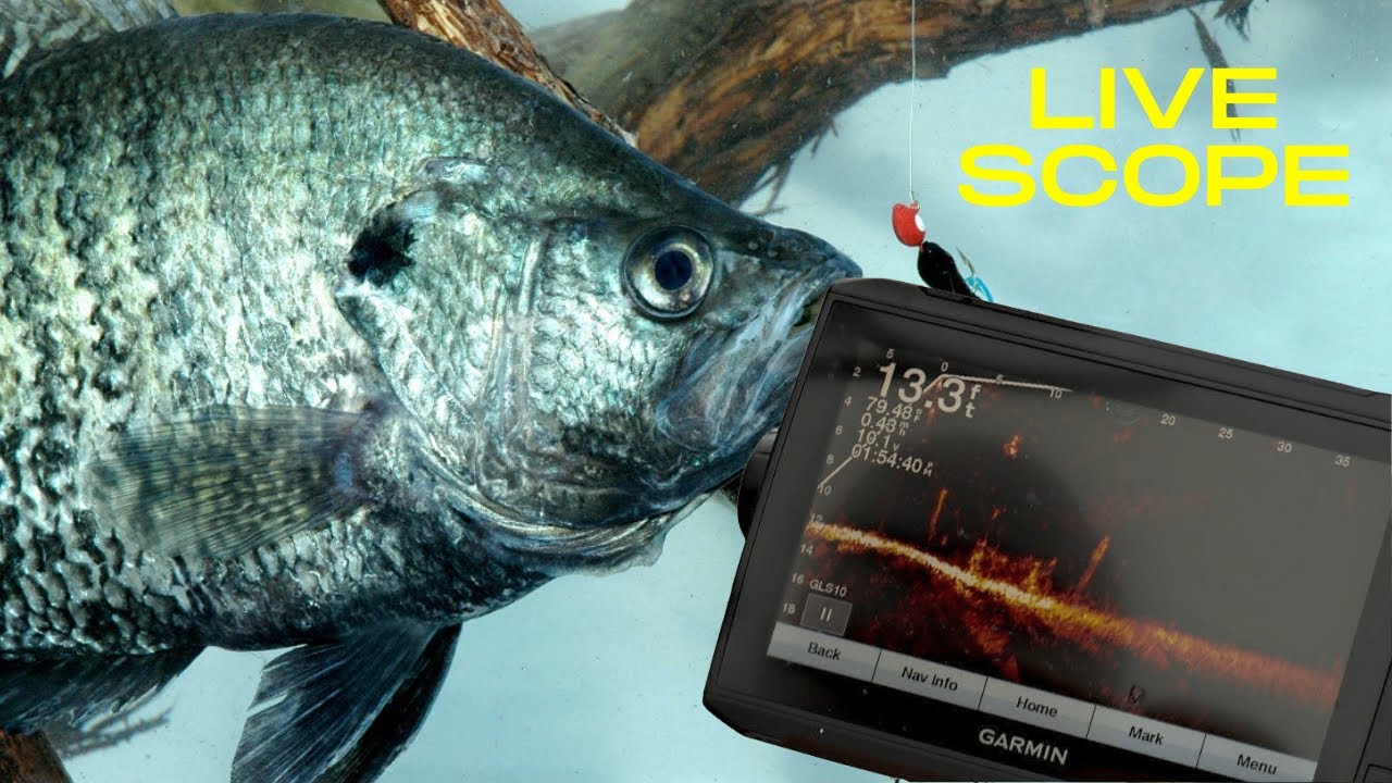 How to install LIVE SCOPE - Workin’ man edition | Garmin - YouTube