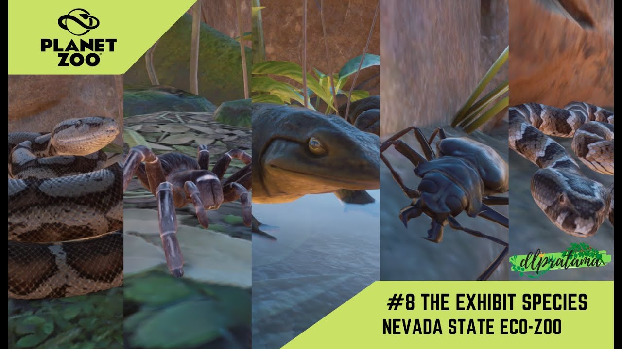 PLANET ZOO | NEVADA STATE ECO-ZOO WALKTROUGH 8 | THE EXHIBIT SPECIES ...