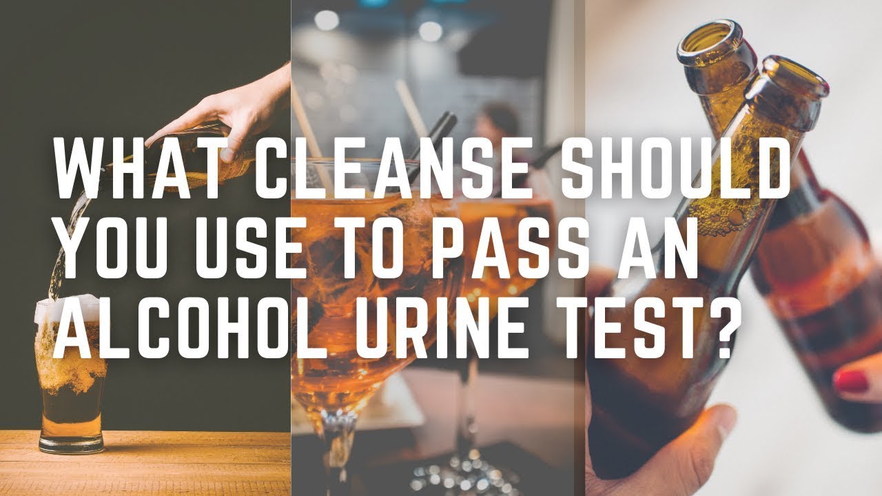 What Cleanse Should You Use To Pass An Alcohol Urine Test YouTube what-cleanse-should-you-use-to-pass-an-alcohol-urine-test-youtube