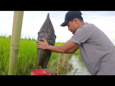 Bohut maas pale aji Ami || Hajong video || Abhijit vlogz - YouTube