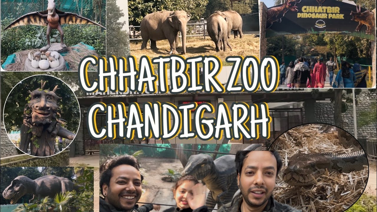 CHHATBIR ZOO CHANDIGARH | Best tourist place in Chandigarh || Mahendra ...