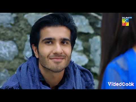adeel and Gul e Rana vm