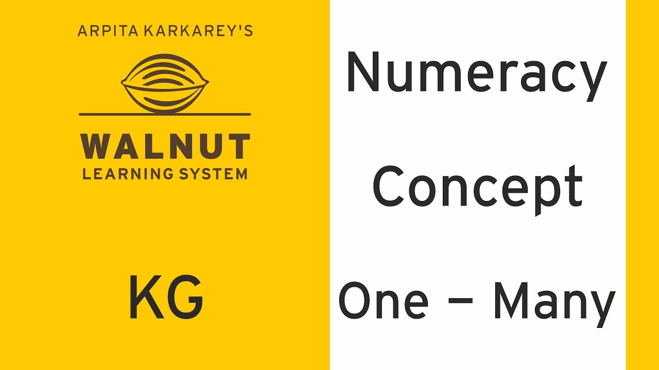KG - Numeracy & Concepts - One and Many - YouTube