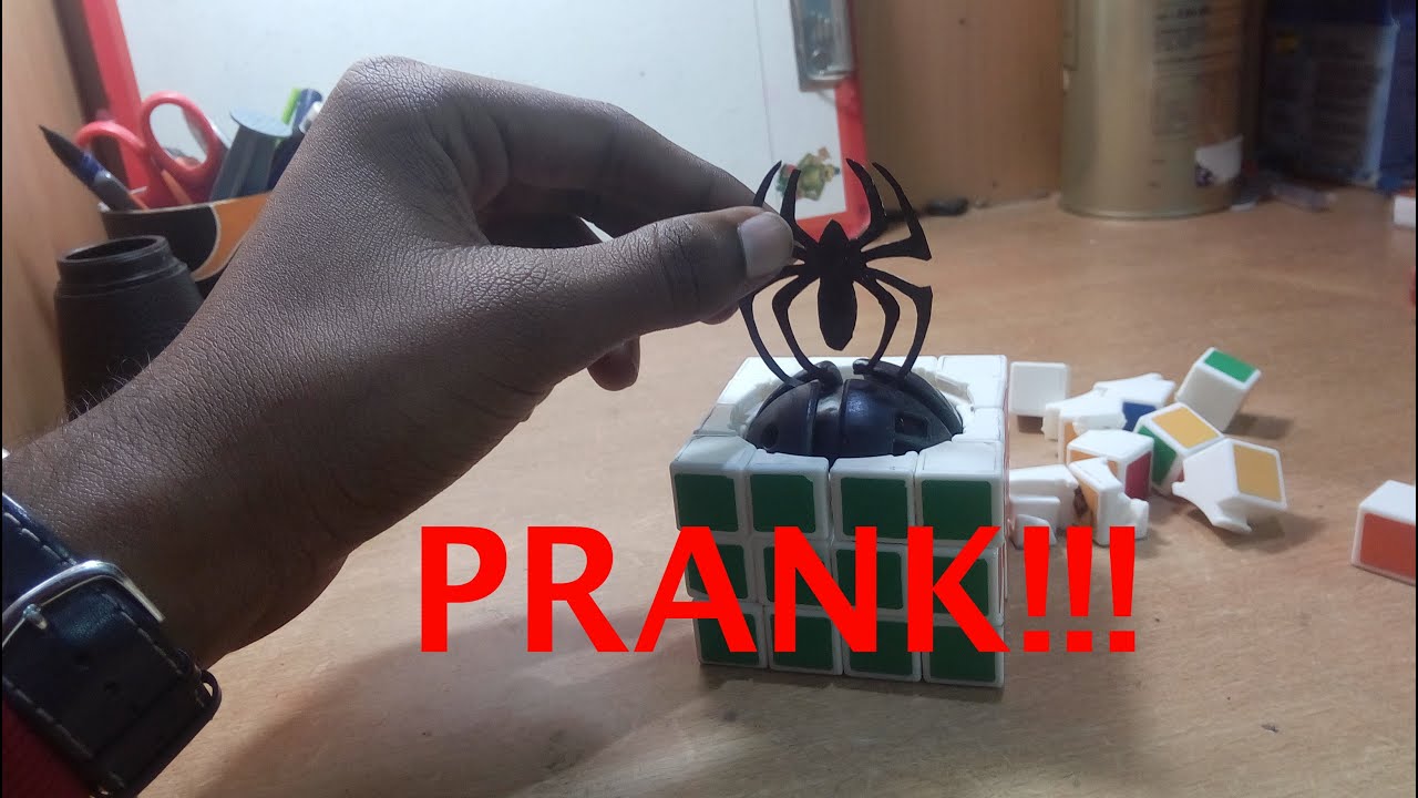 Spider In a 4X4 Cube | Best Cubing Prank Ever - YouTube