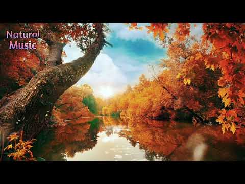 Relaxing Piano Music Sleep MusicNature Status 4k #relaxingmusic #viral #music #tiktok #sky #4k